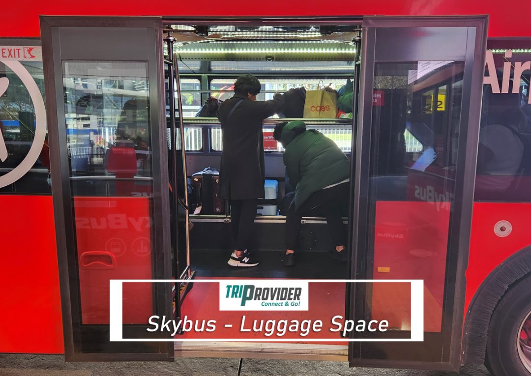 Skybus - Your cheapest way from Melbourne Airport to City - Triprovider