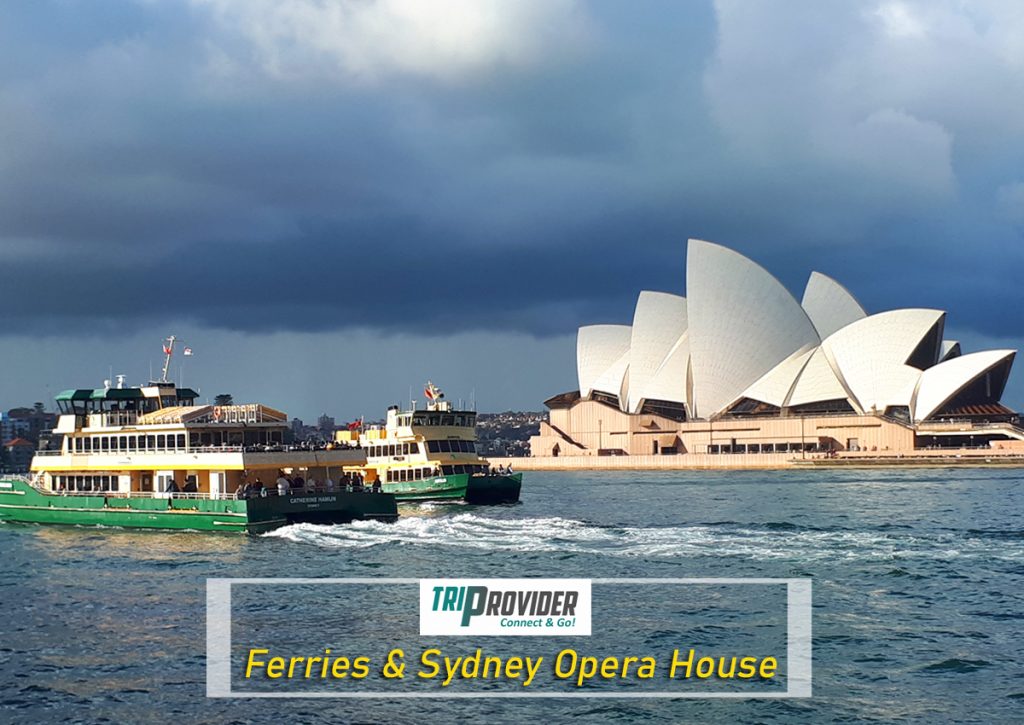 Sydney to Manly Ferry - Circular Quay to Manly Beach - Triprovider