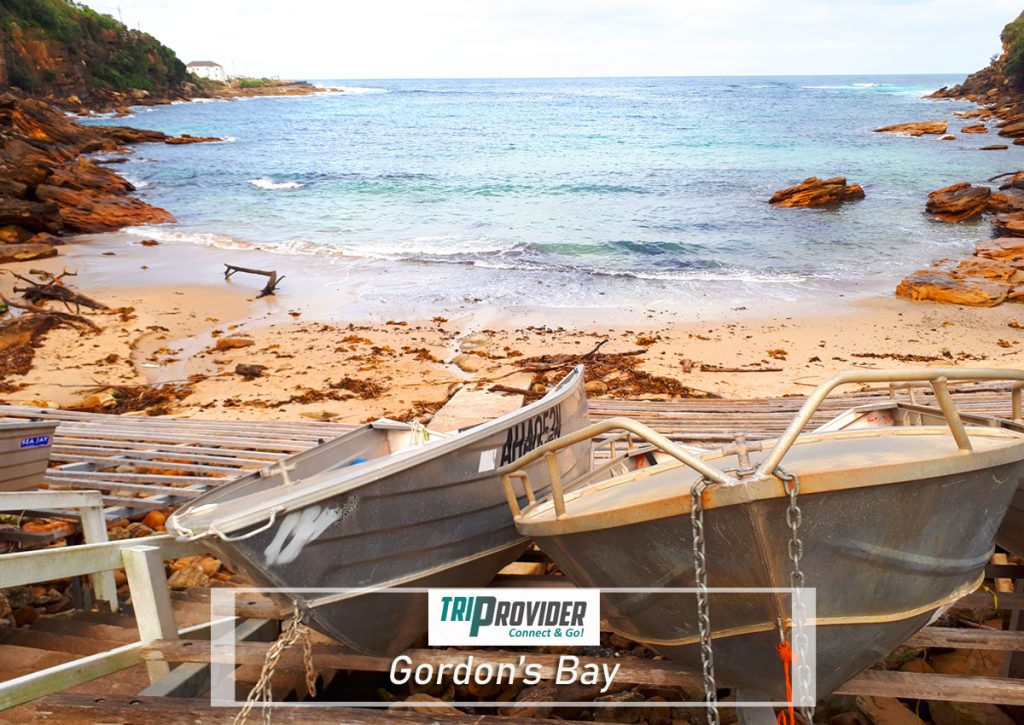 Bondi to Coogee Beach Coastal Walk in Sydney - Triprovider