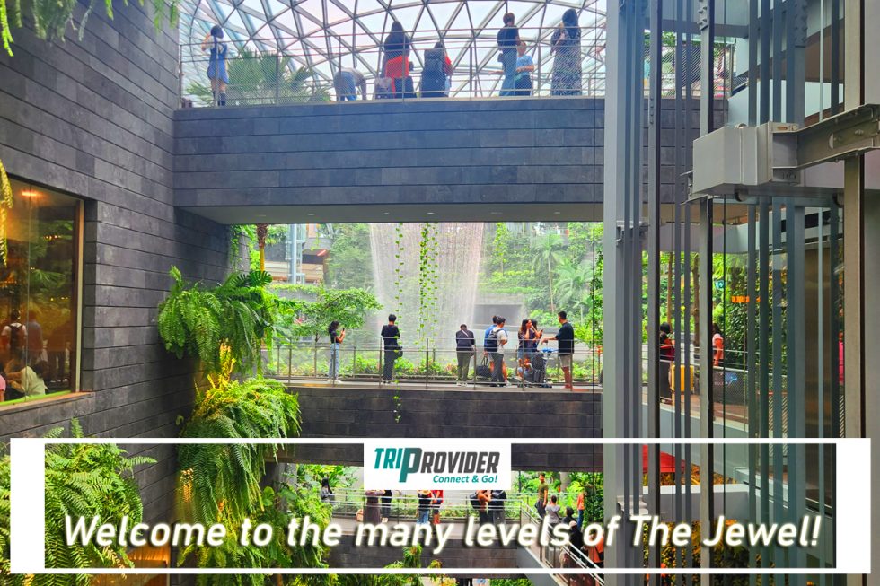Jewel at Changi Airport Singapore - Can I visit whilst in transit ...