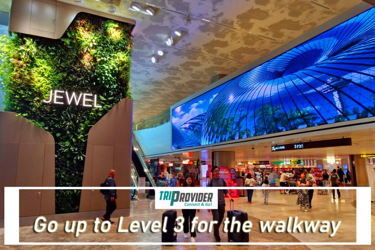 Jewel at Changi Airport Singapore - Can I visit whilst in transit ...