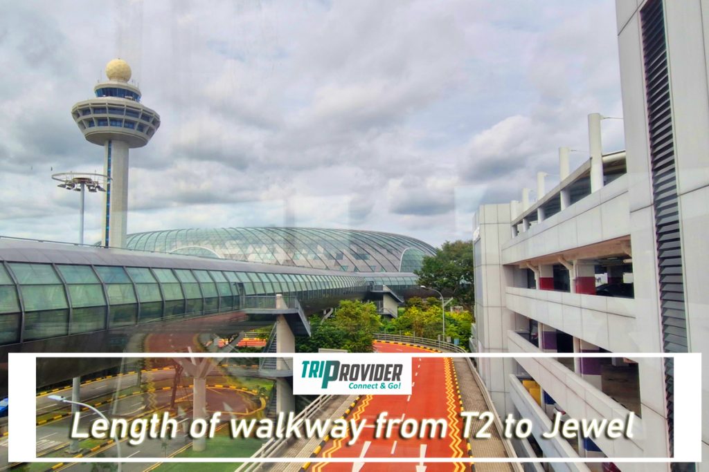 Jewel at Changi Airport Singapore - Can I visit whilst in transit ...